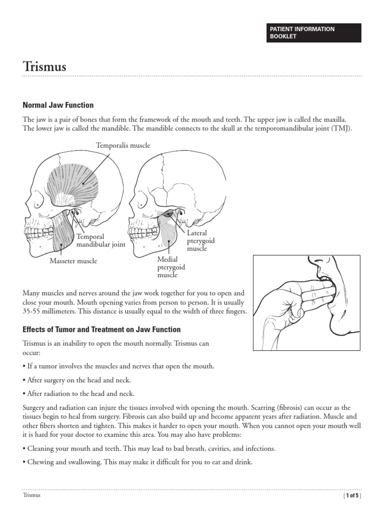 Trismus: Normal Jaw Function | Download Free PDF | Medicine | Human Anatomy