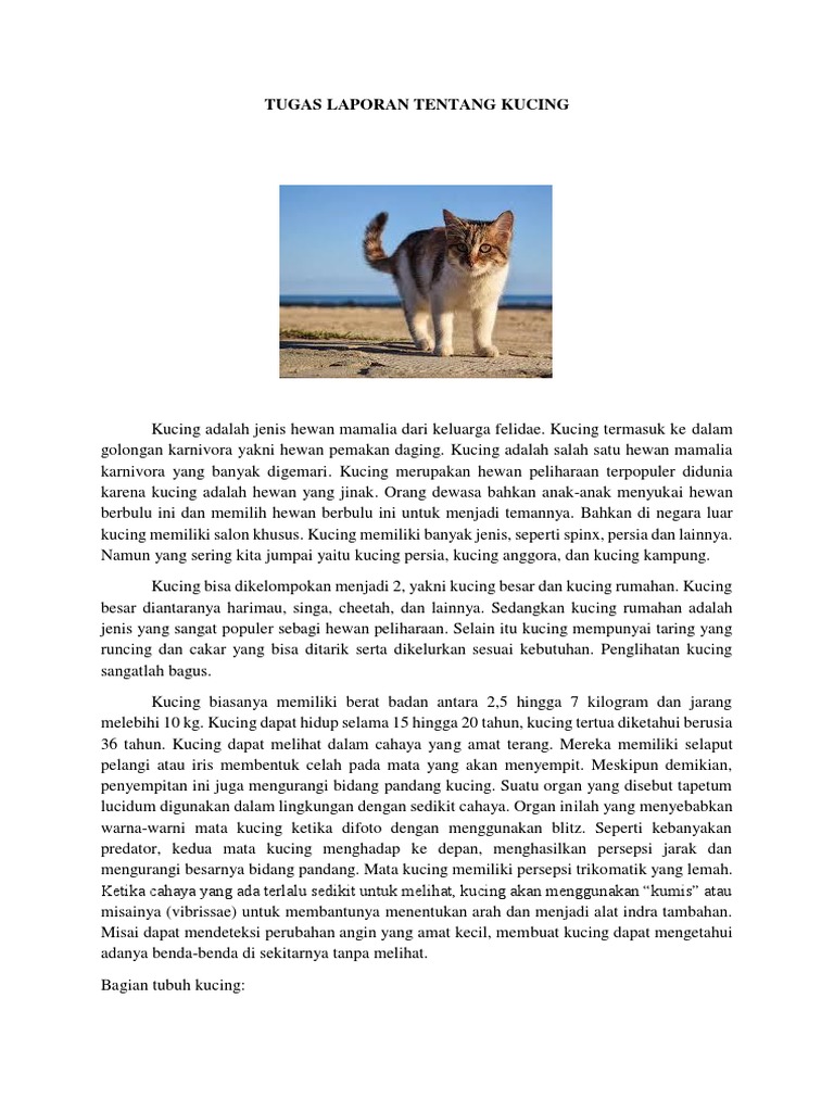 Kucing | PDF