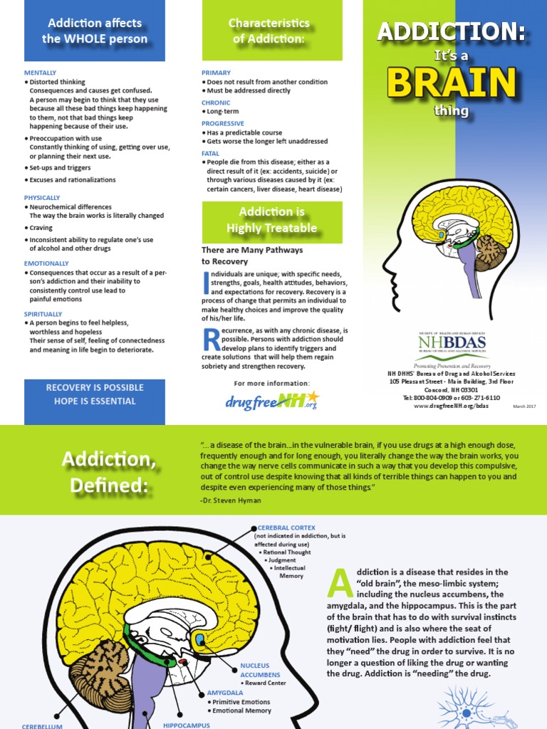 Addiction Brain | PDF | Brain | Chronic Condition