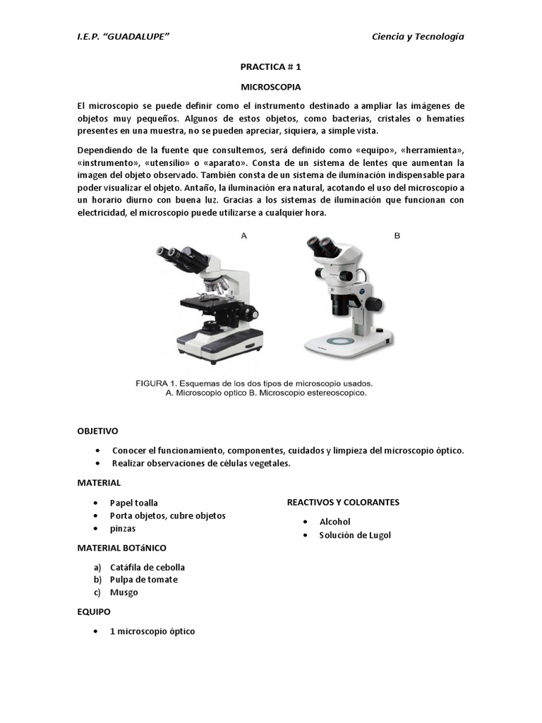 Practica Laboratorio - Micros | PDF | Microscopio | Óptica