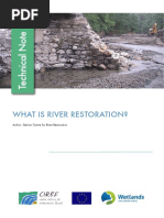 Pune and Delhi Streetscape Case Study | PDF