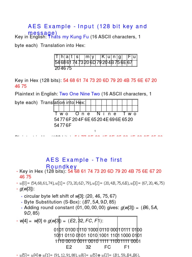 AES Cypher | PDF | Cryptography | Matrix (Mathematics)