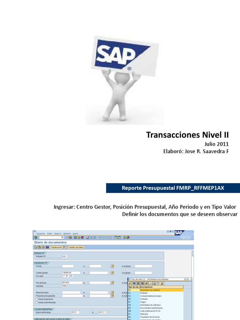 01 Guia de Transacciones SAP | PDF | Economias | Business