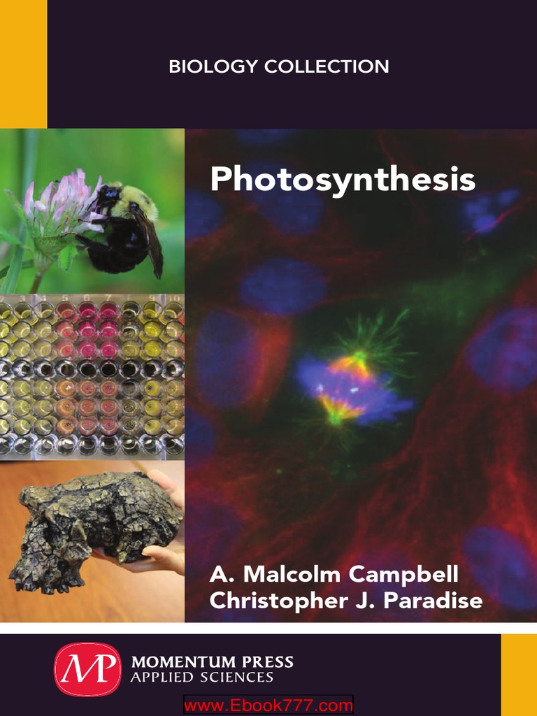 Photosynthesis Biology Collection | PDF | Photosynthesis | Chloroplast