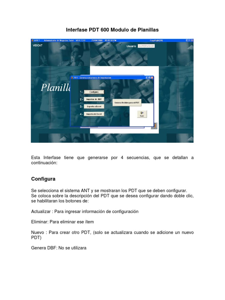 Interface PDT 601 Planillas | PDF | Archivo de computadora | Microsoft Excel