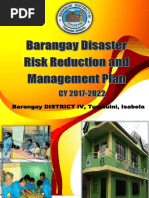 CBDRRM Plan Template | PDF | Politics | Science & Mathematics