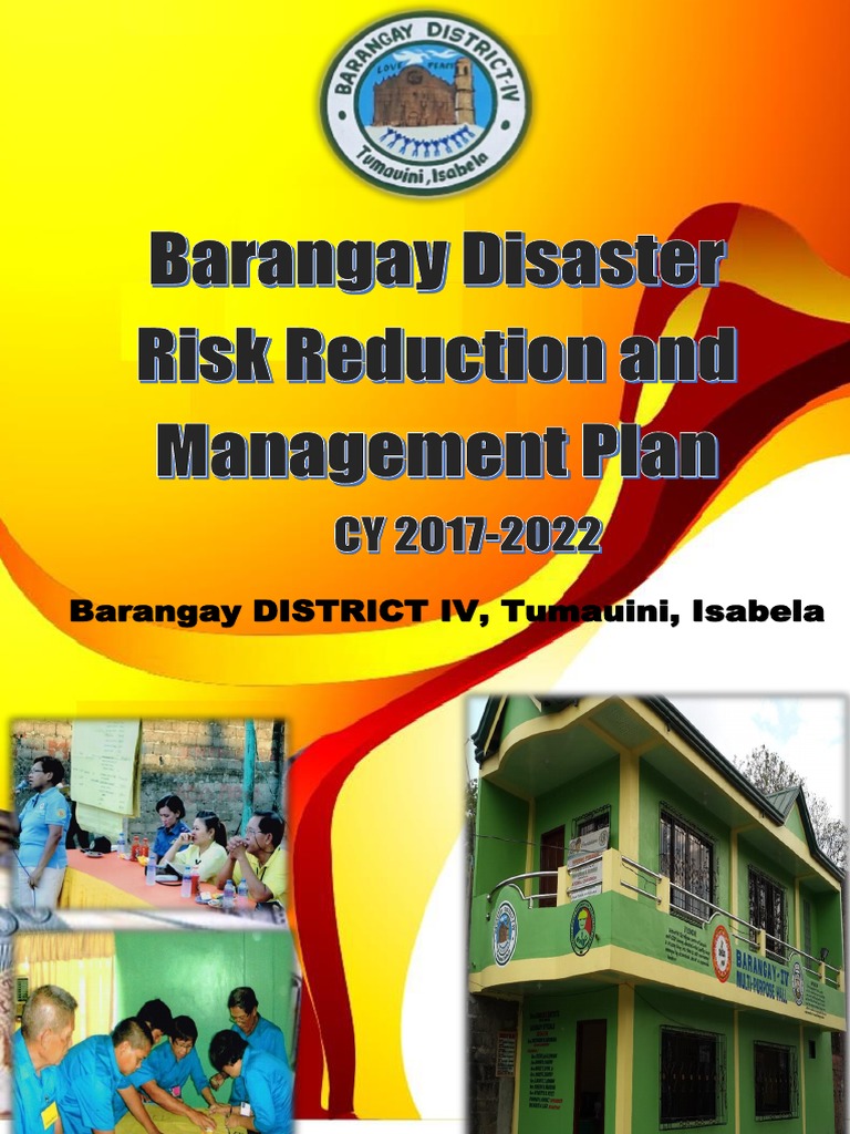 CBDRRM Alicia | PDF | Hazards | Emergency Management
