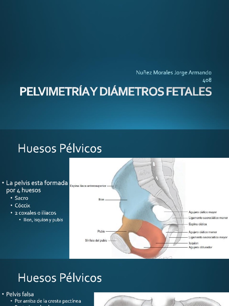 Pelvimetría y Diámetros Fetales | PDF