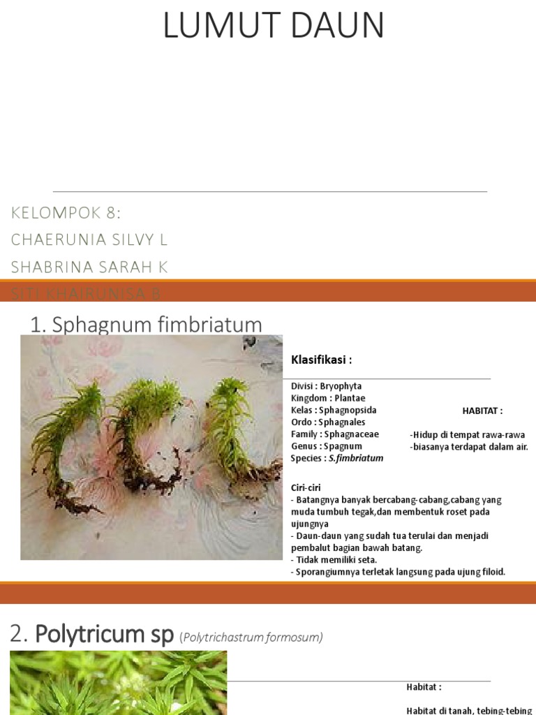 Lumut Daun | PDF