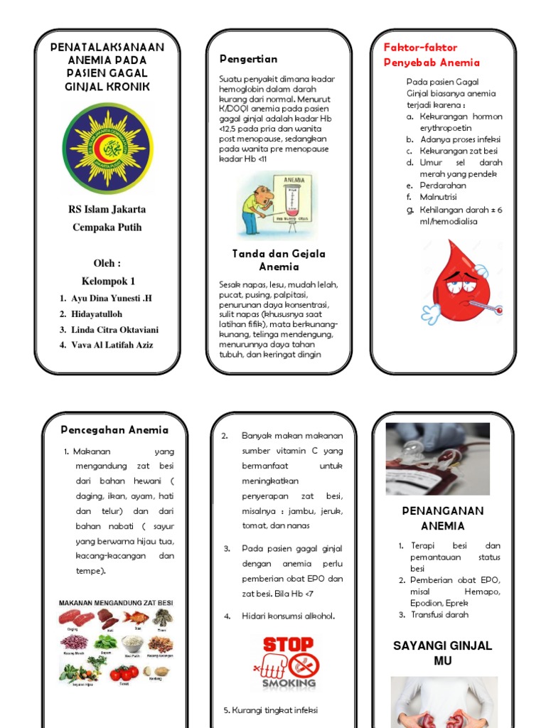 Leaflet Anemia Fix | PDF