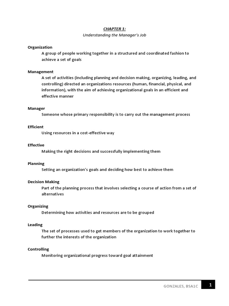 Organization: Understanding The Manager's Job | Download Free PDF ...