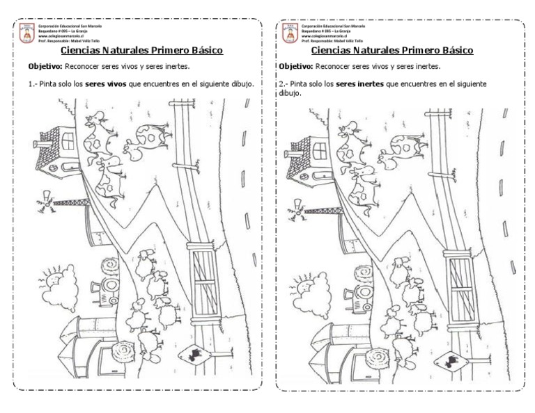 Guía de Seres Vivos e Inertes para Niños | PDF