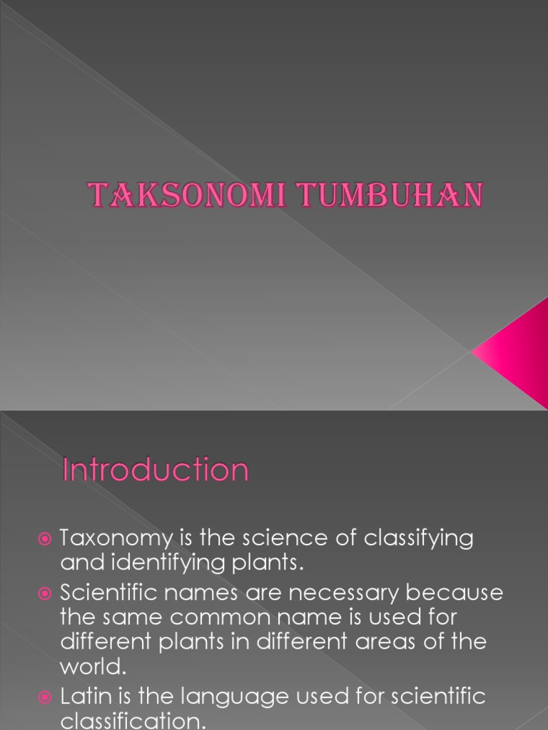 07 Taksonomi-Tumbuhan | PDF