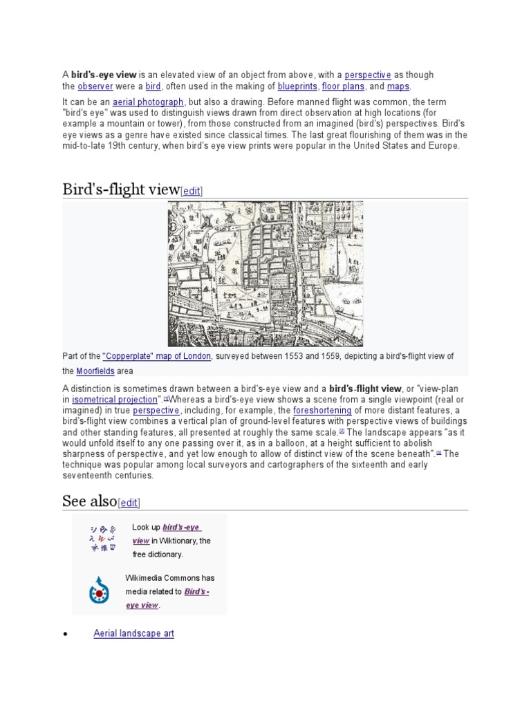 Bird's-Flight View: Perspective Observer Bird Blueprints Floor Plans ...