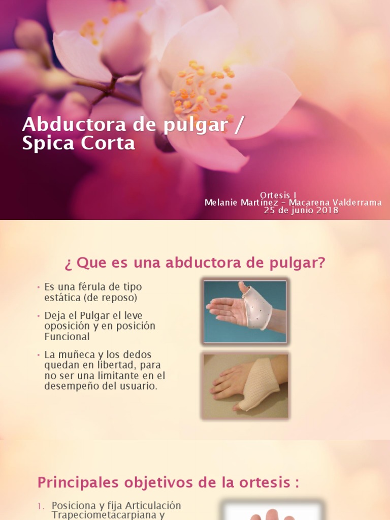 Ferula Abd Del Pulgar | PDF | Medicina CLINICA | Medicina