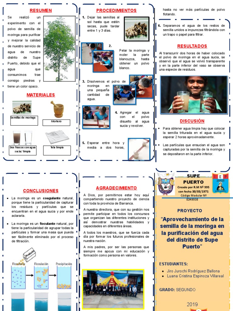 Triptico Moringa | PDF | Agua | Naturaleza