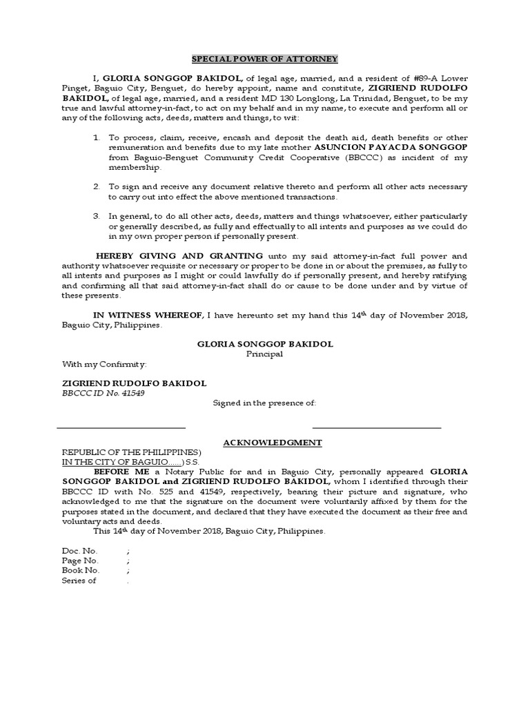 SPECIAL POWER OF ATTORNEY - BAKIDOL - Deathaid | PDF | Power Of ...
