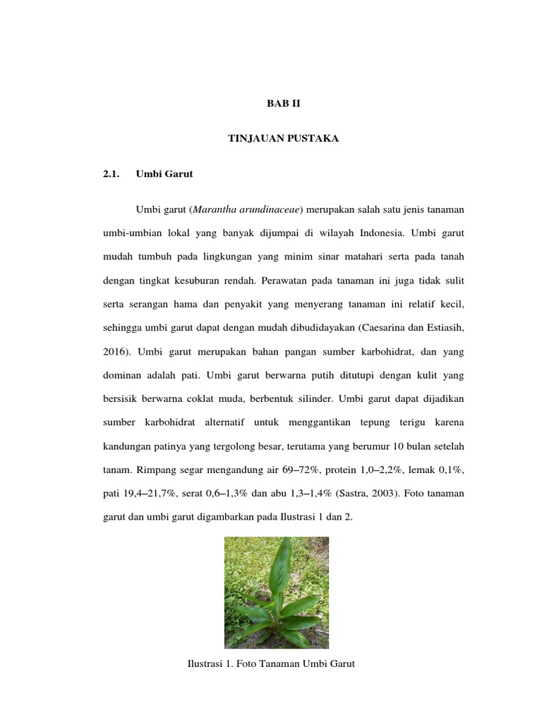 Pustaka Umbi Garut PDF | PDF