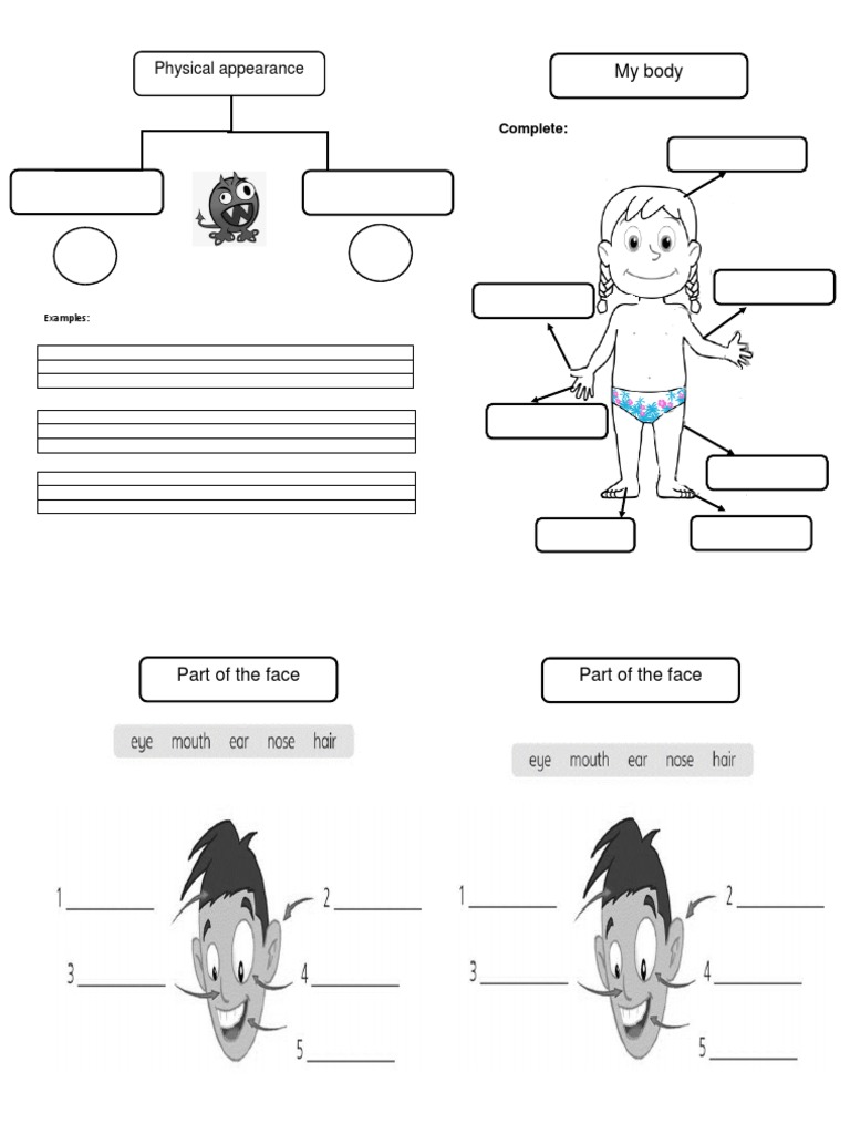 Physical Appearance: My Body | PDF