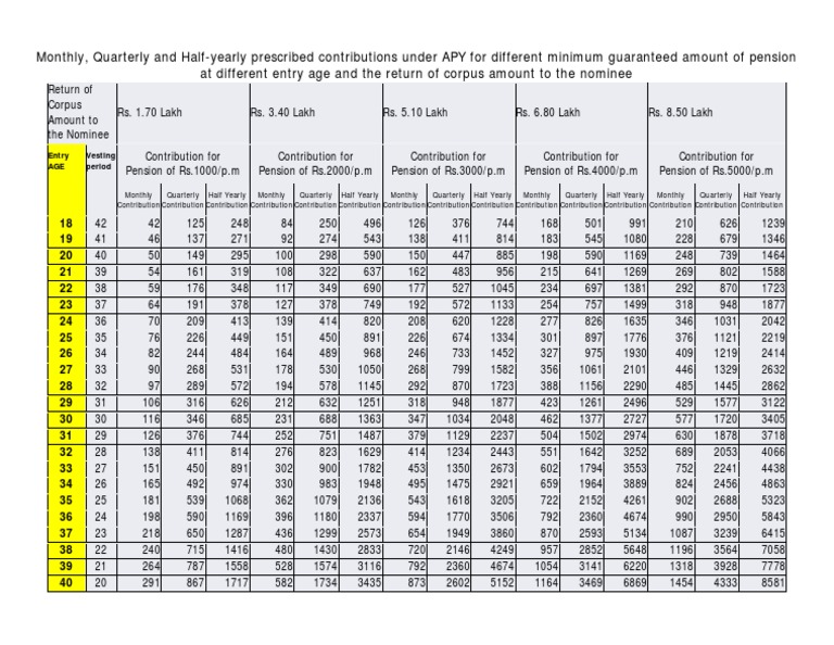 Apy Contribution Chart | PDF | Retirement | Employee Relations