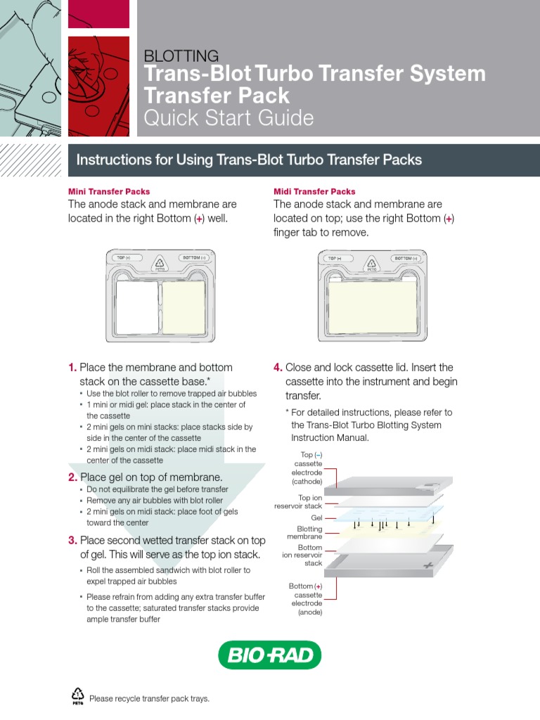 Quick Start Guide: Trans-Blot Turbo Transfer System Transfer Pack | PDF ...