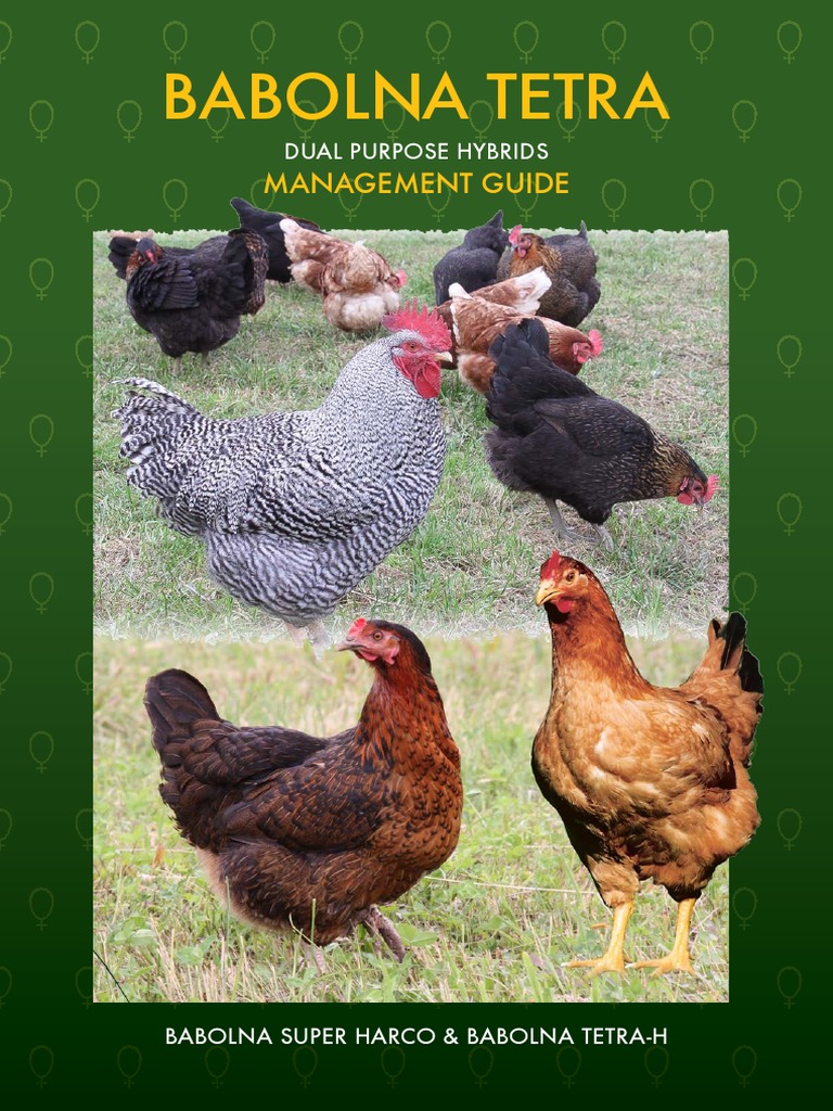 Tetra TETRA-H SUPERHARCO Commercial 2013 en | Download Free PDF ...