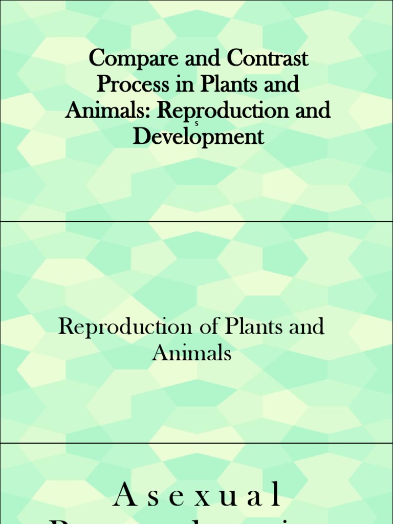 Compare and Contrast Plant and Animal Reproduction and Development ...