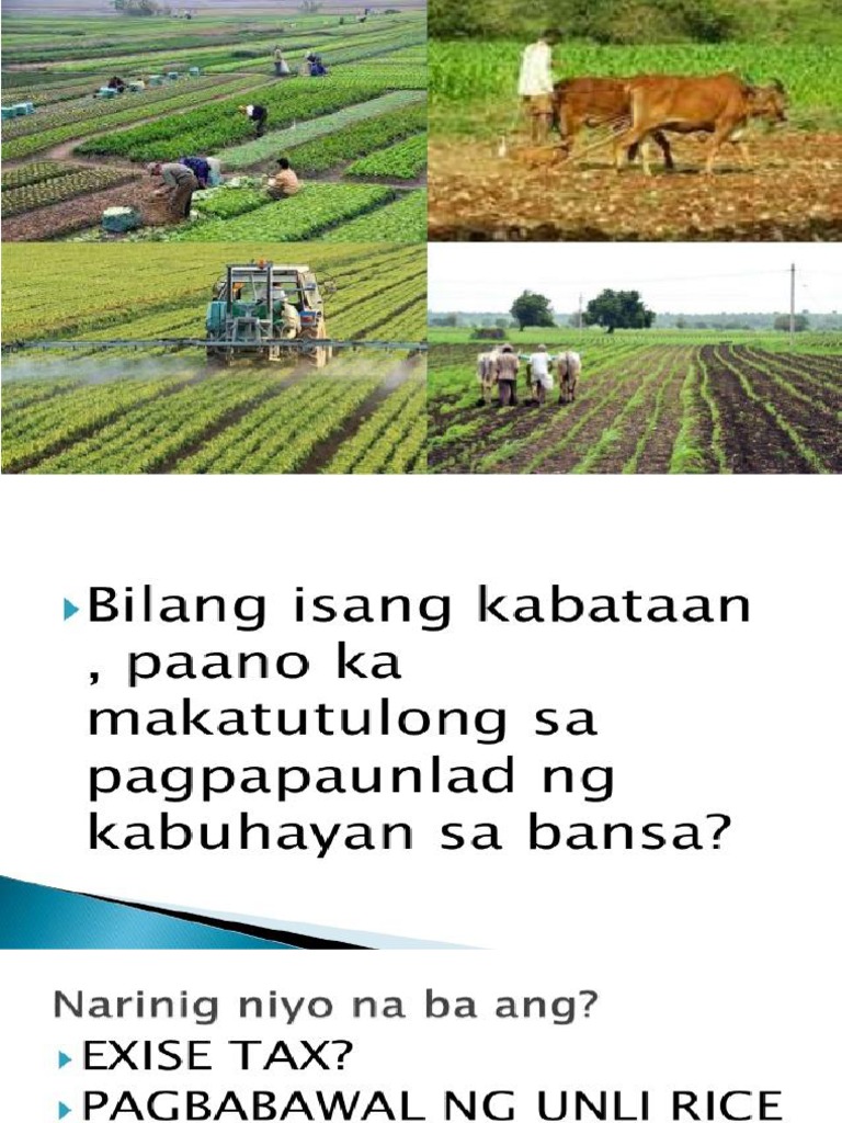 Bayani NG Bukid at Elemento NG Tula | PDF