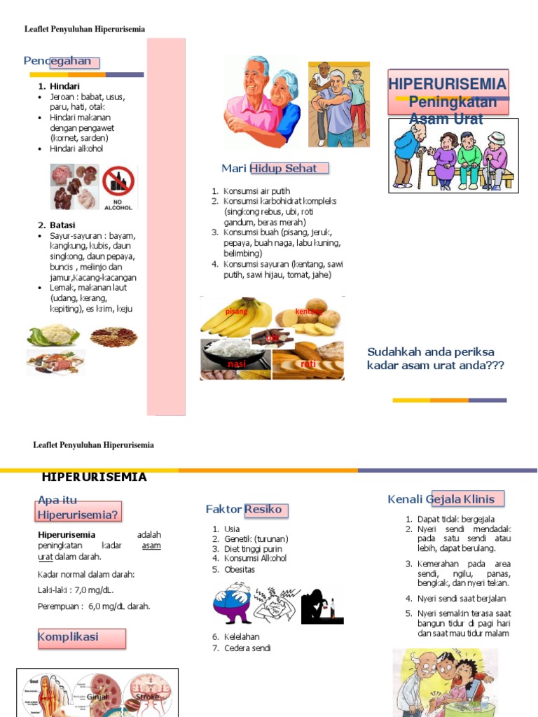 Leaflet Hiperurisemia | PDF