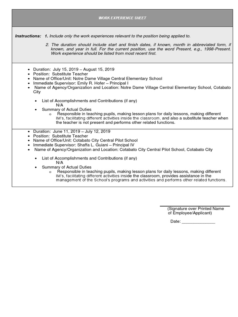 Work Experience Sheet Updated | PDF | Career & Growth
