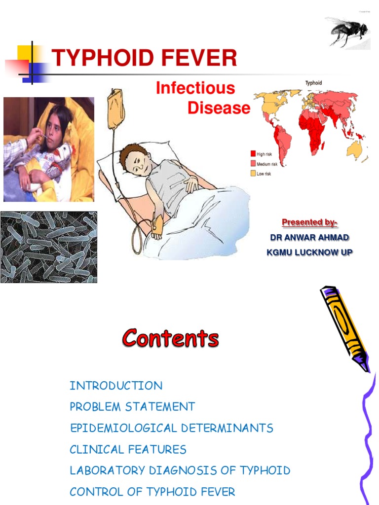 Typhoid | PDF | Salmonella | Infection