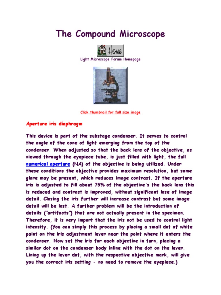 The Compound Microscope | PDF | Electromagnetic Radiation | Lens (Optics)