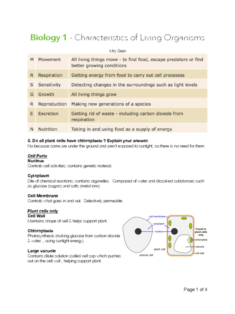 Biology Notes PDF | PDF | Digestion | Neuron