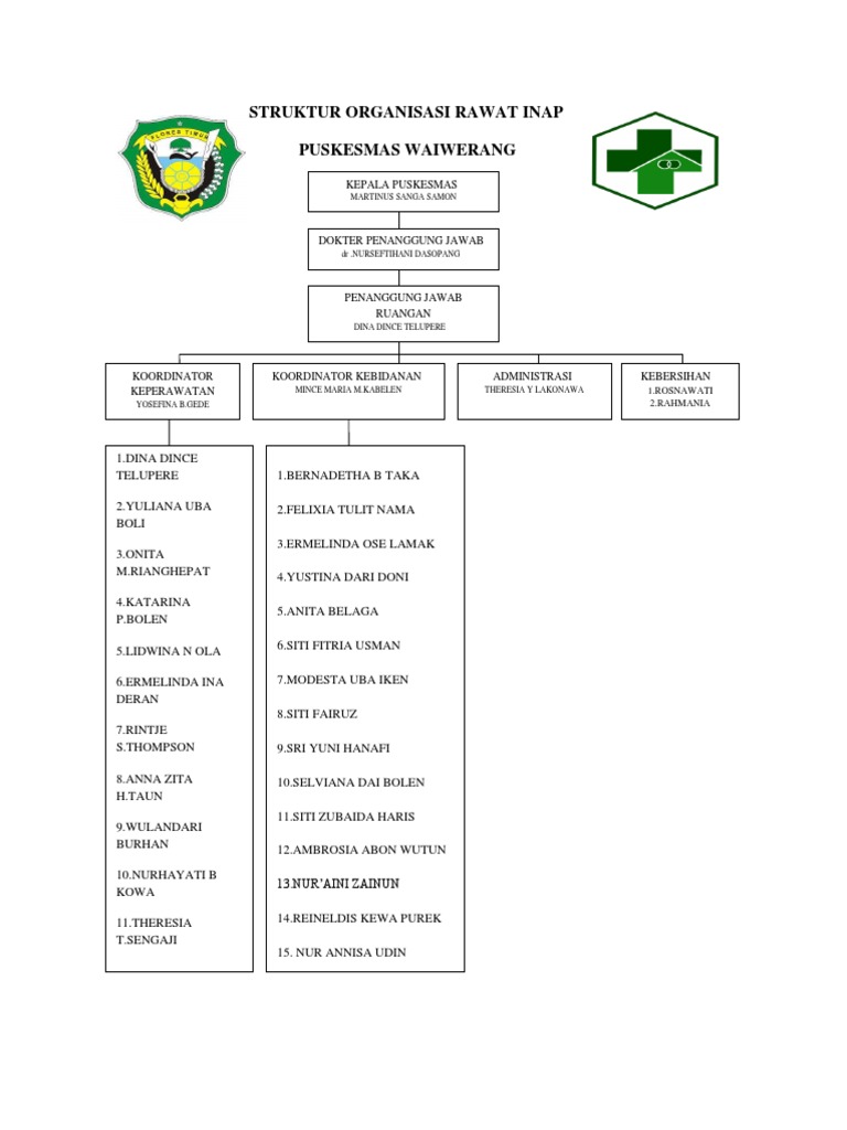 Struktur Organisasi Puskesmas Waiwerang | PDF | Kesehatan Holistik