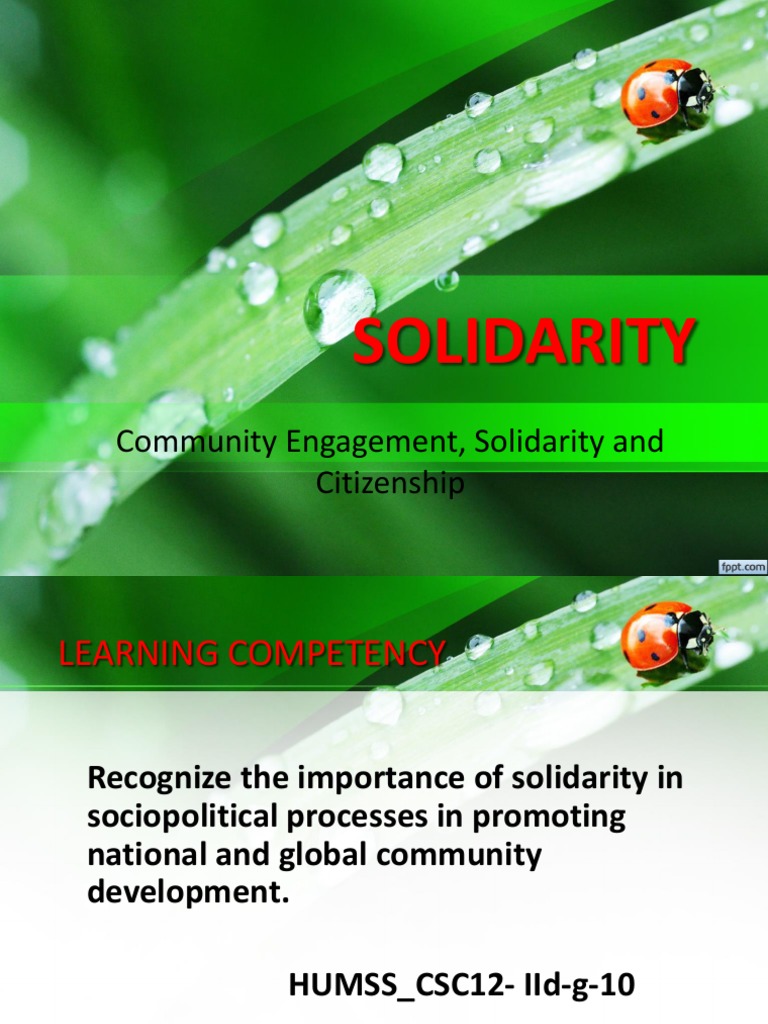 Solidarity: Community Engagement, Solidarity and Citizenship | PDF ...