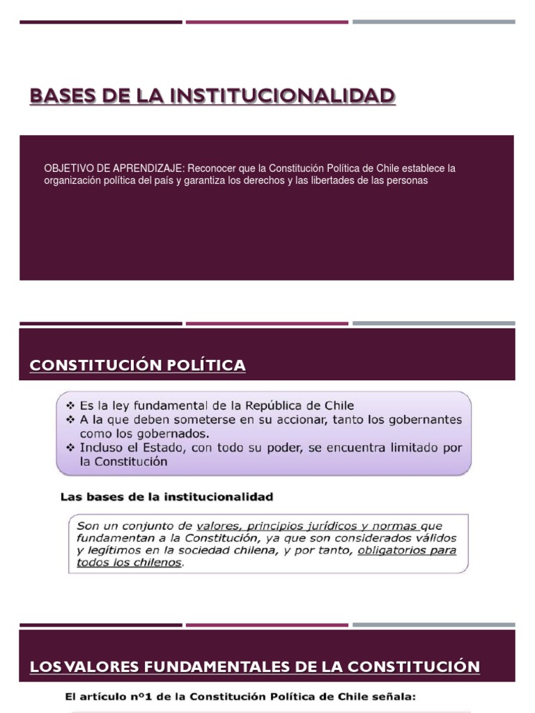 Bases de La Institucionalidad | PDF