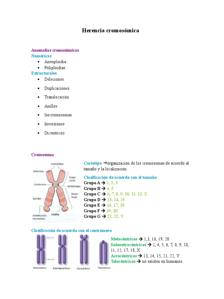 Herencia Cromosómica | PDF | Cromosoma | Nucleo celular
