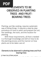 Method of Layout Orchard | PDF | Plants | Trees