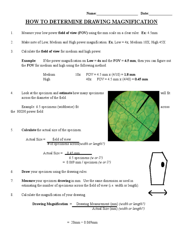 Day 02 - Drawing - Magnification - How - To v.003 | PDF | Field Of View ...