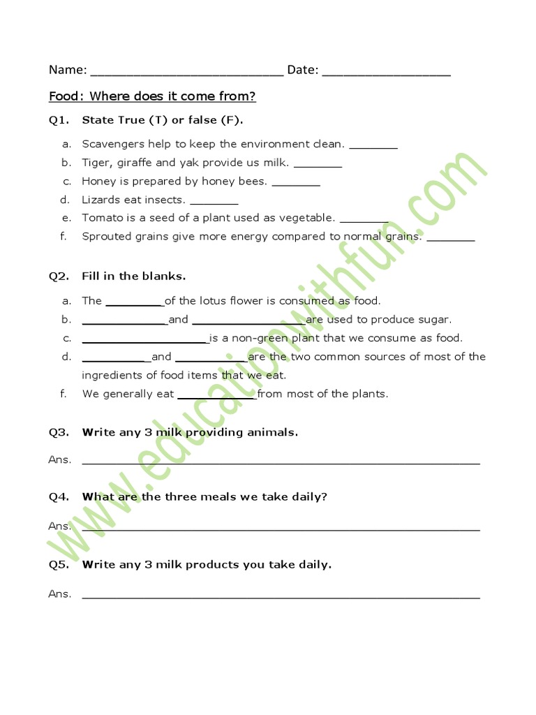 Food - Where Does It Come From - Worksheet - 1 | PDF
