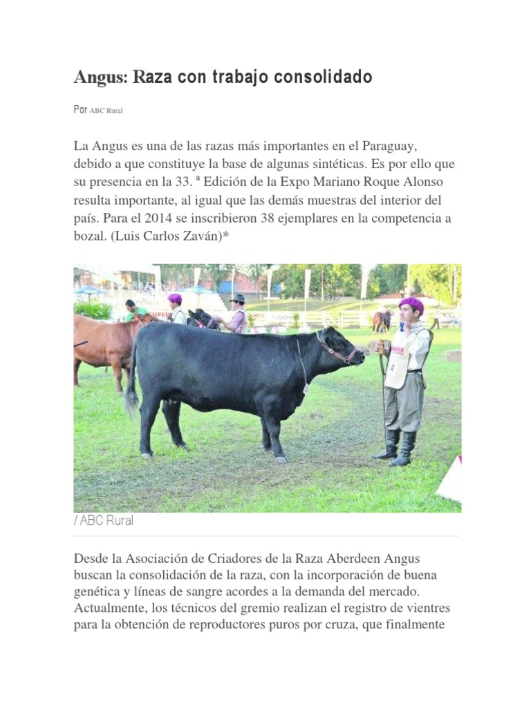 Angus | PDF | Paraguay | Carne