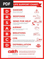 DRSABCD A4 Poster PDF | PDF