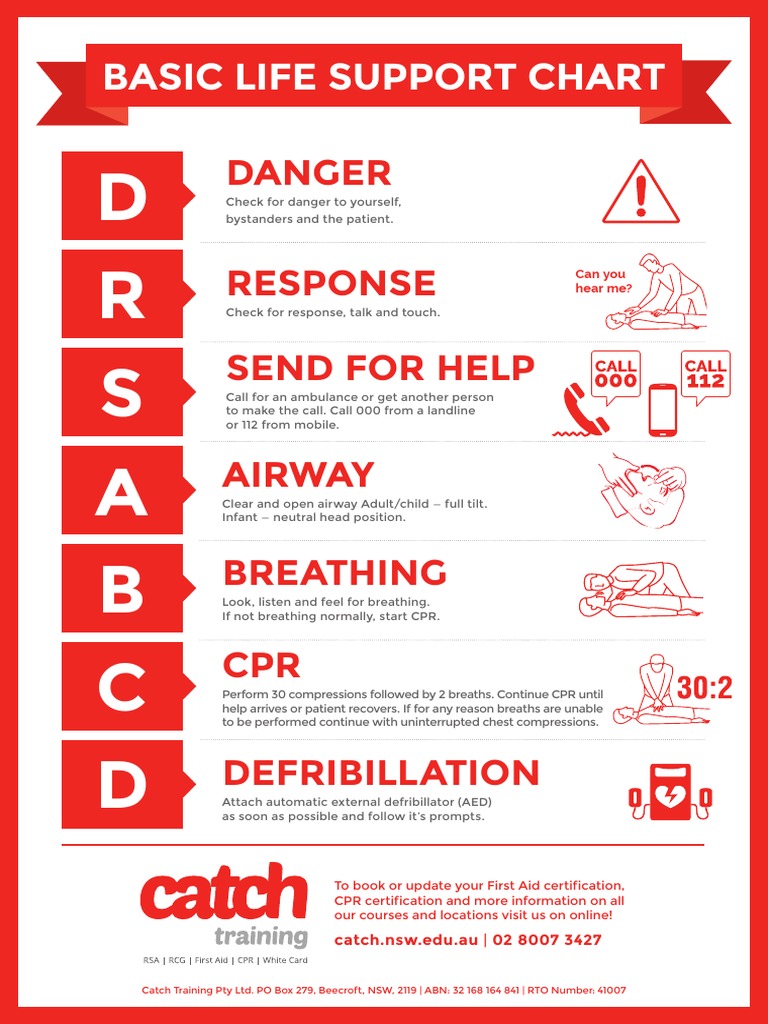 Catch Basic Life Support Poster PDF | PDF
