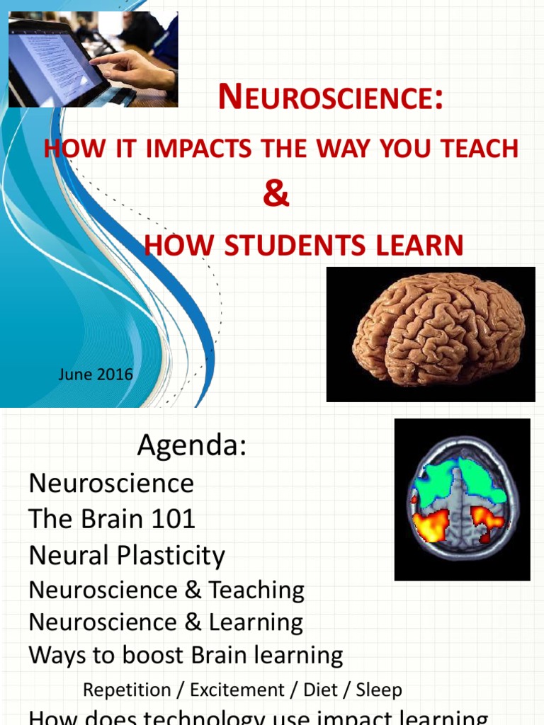 Neuroeducation | PDF | Neuroscience | Brain