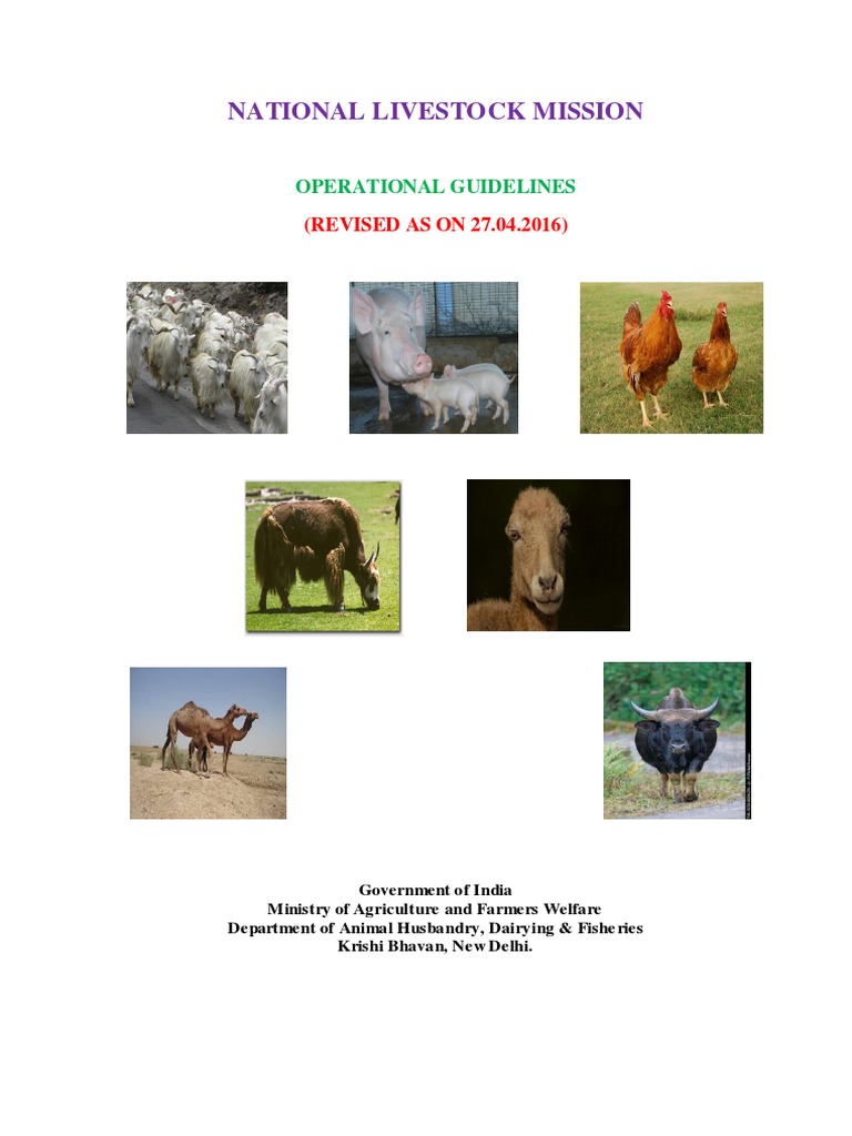 Revised Guidelines of NLM 27.04.16 | PDF | Livestock | Agriculture