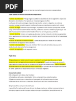 Teoría de La Matriz Funcional de Melvin Moss | PDF | Cráneo | Epigenética