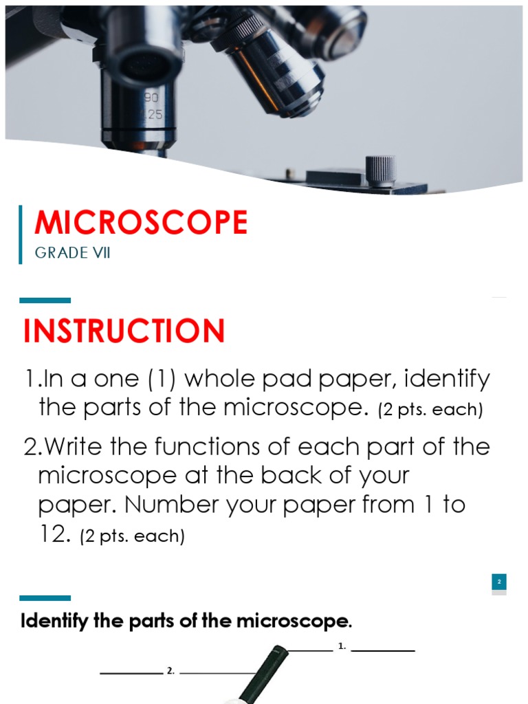 Microscope Activity | PDF | Teaching Methods & Materials