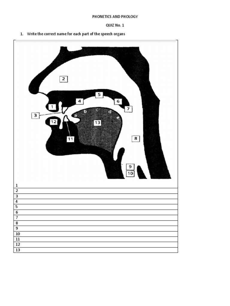 Quiz No. 1 Phonetics | PDF | Phoneme | Phonetics