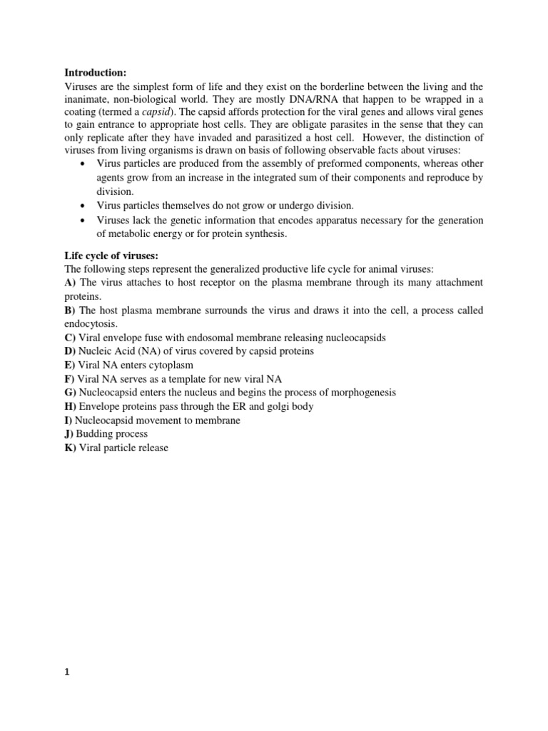 Virus Replication Strategy | PDF | Sense (Molecular Biology) | Virus