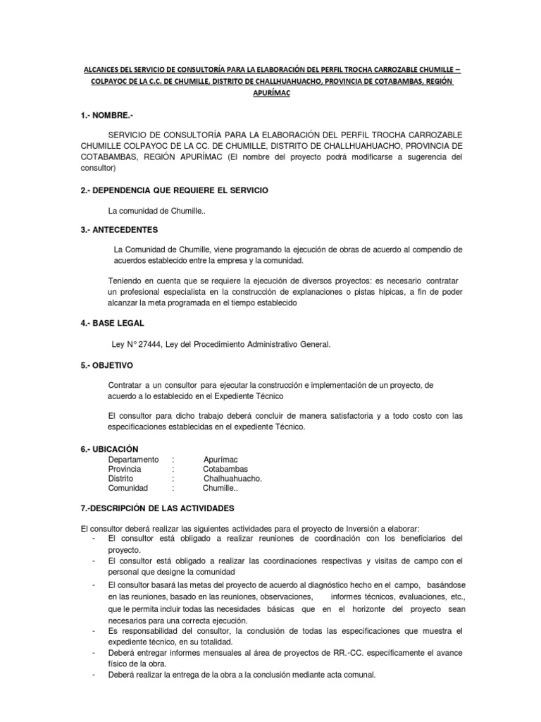 Modelo de TDR | PDF | Presupuesto | Gobierno